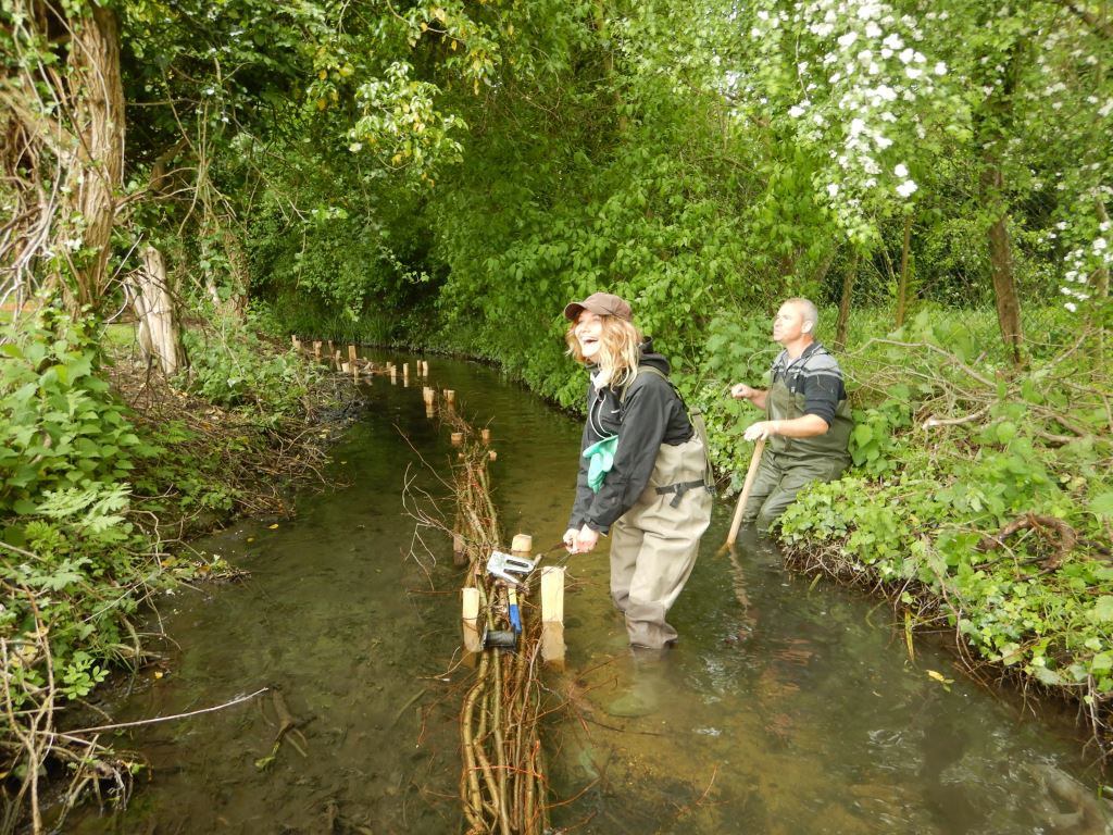 Greater Cambridge Chalk Streams project