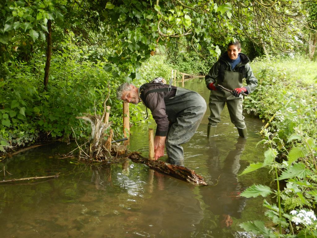 Greater Cambridge Chalk Streams project