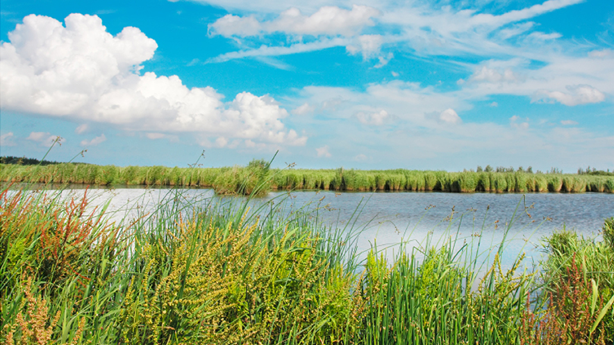 Cambridge Water | Cambridge Water